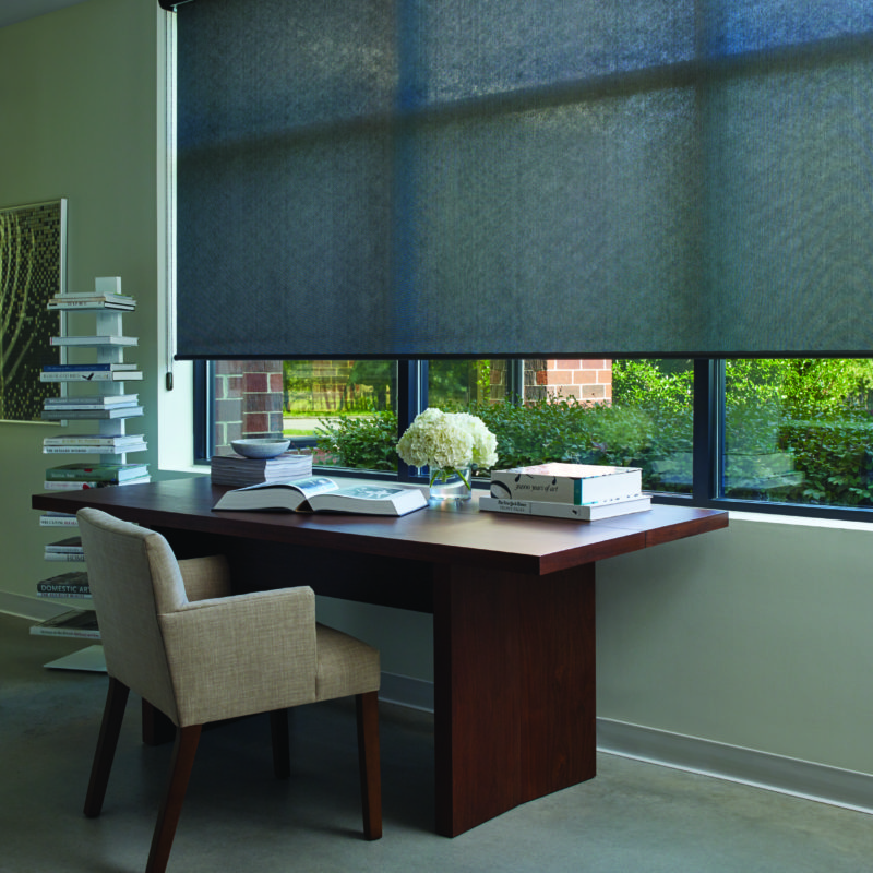 Hunter Douglas Designer Roller Screen Shades - Austintatious Blinds and ...